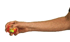 Training mit dem Powerball® – Kernpower